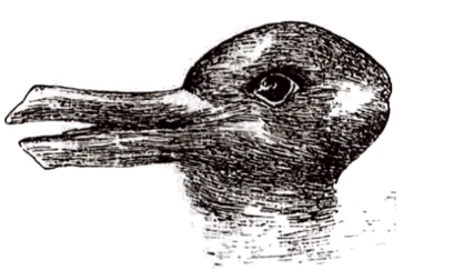 The Illusions of the Brain – Everyone Wants to Know